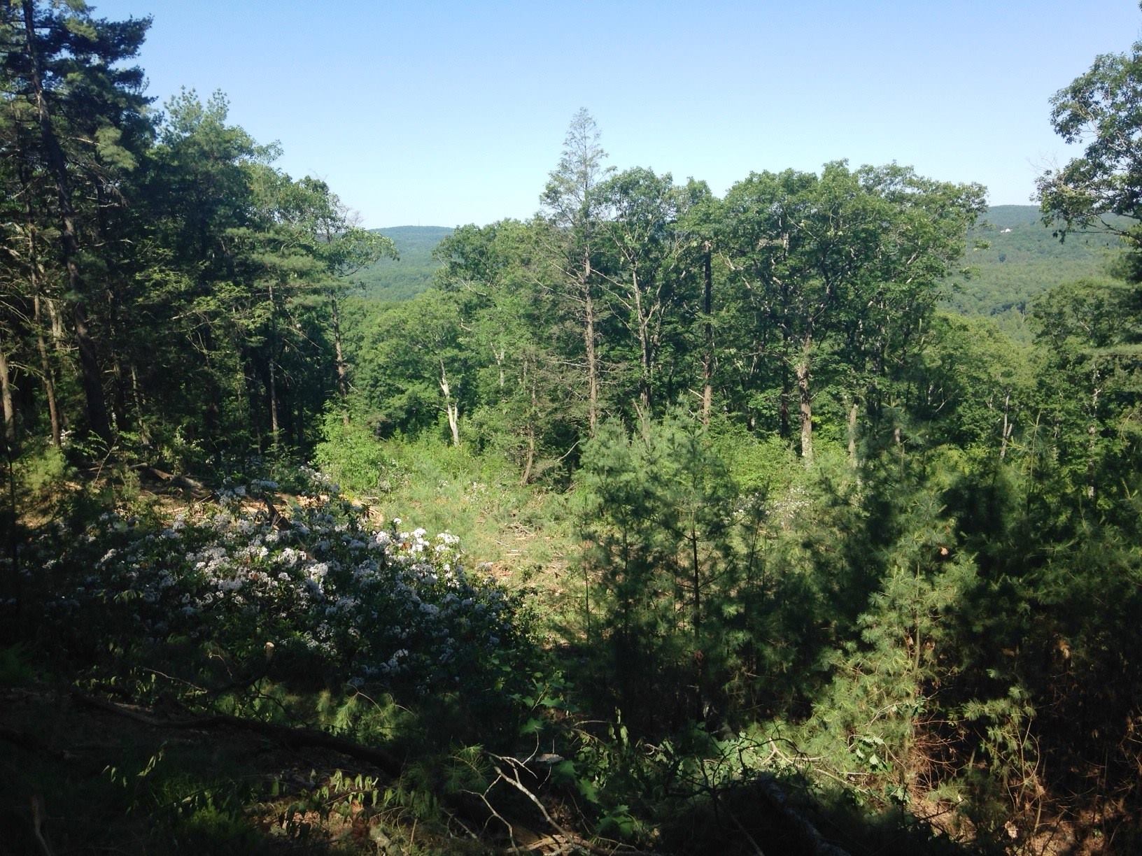 Eastern Connecticut Forest Landowners / Wolf Den Land Trust